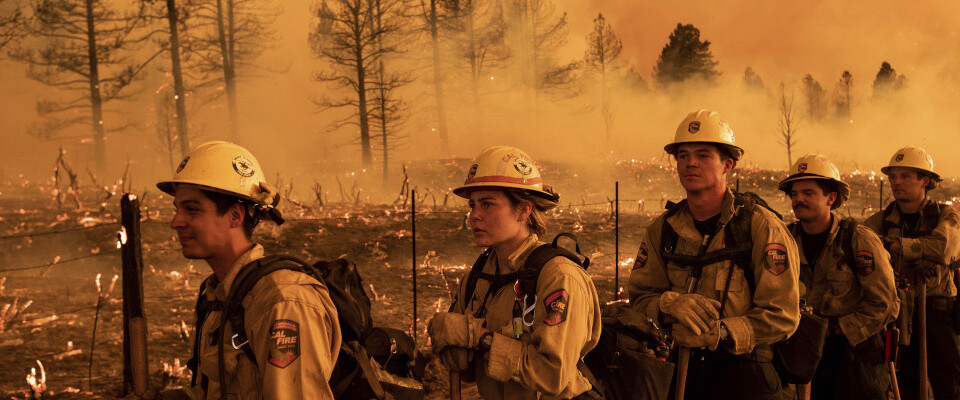 Harry Rakowski: Is there intelligent life on Earth? - The Hub