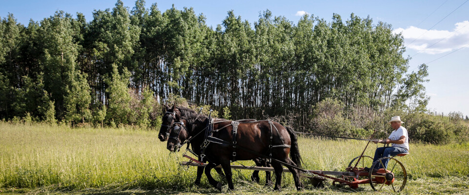 Howard Anglin: The great epics endure in our small, local lives - The Hub