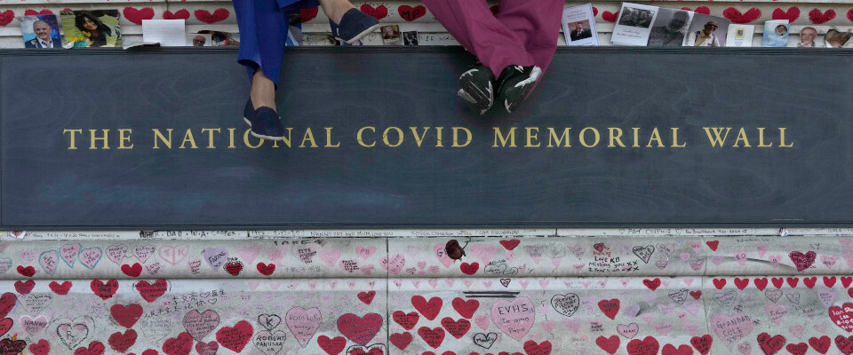 Harry Rakowski: How can we explain excess deaths during COVID-19? - The Hub