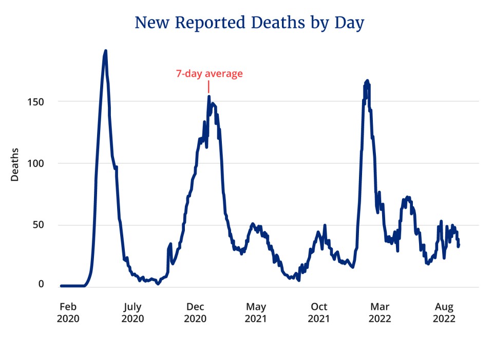 Harry Rakowski: How can we explain excess deaths during COVID-19? - The Hub
