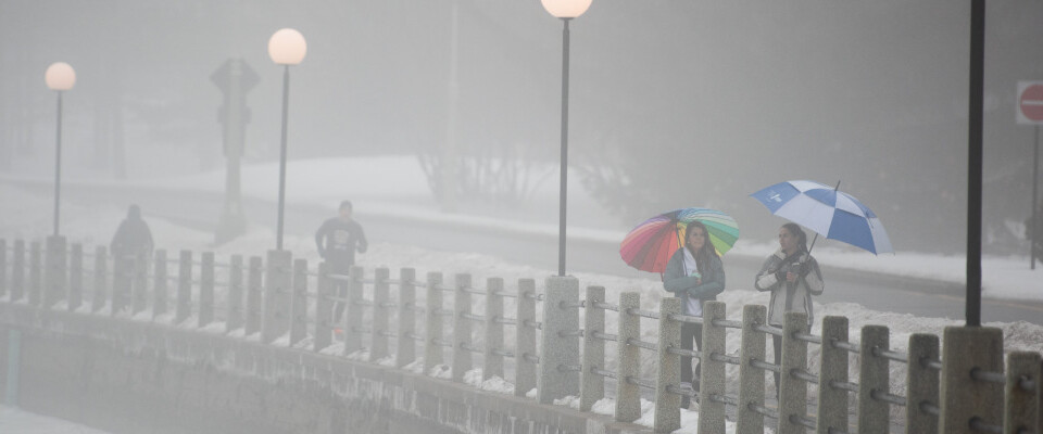 Howard Anglin: Bulldoze and begin again: A regressive plan to revive ...