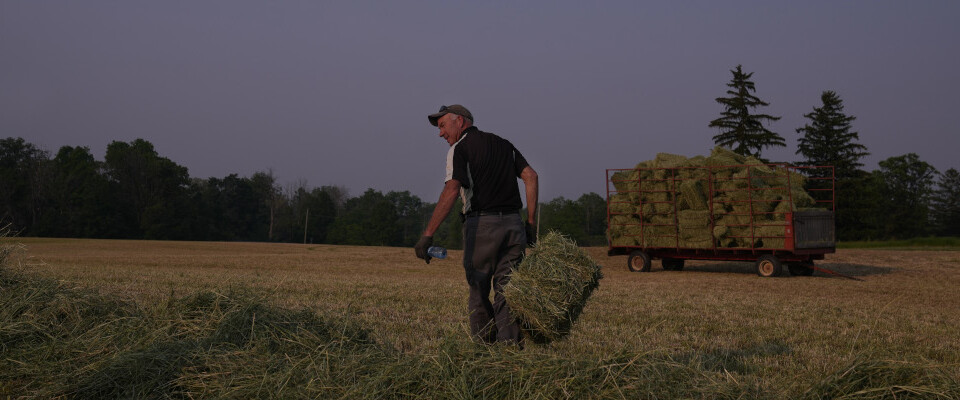 Lianne Bell: In defence of the working class - The Hub