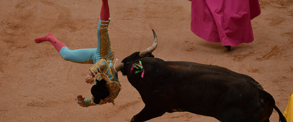 Howard Anglin: What’s in and what’s out in 2024 - The Hub