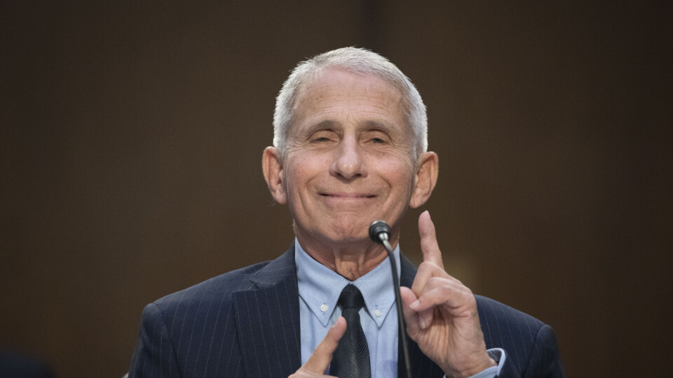 Stephen Staley: The cult of expertise has gone too far - The Hub