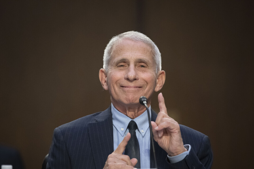 Stephen Staley: The cult of expertise has gone too far - The Hub