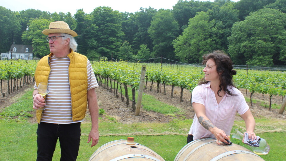 Malcolm Jolley: Domaine Le Clos Jordanne—an old winery with a new name ...