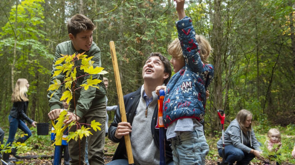 Monte Solberg: Why Trudeau’s broken tree planting promise matters - The Hub