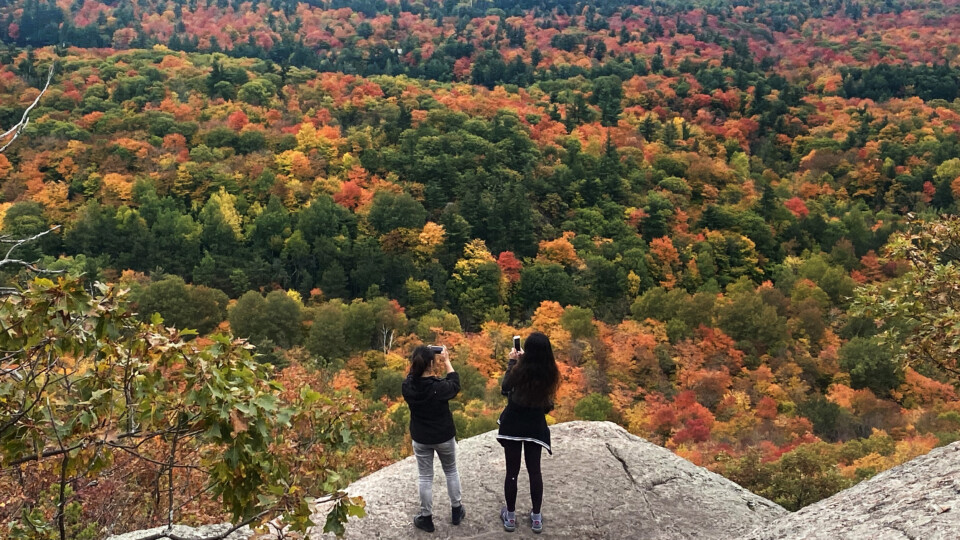 Monte Solberg: There’s nothing un-conservative about protecting our ...