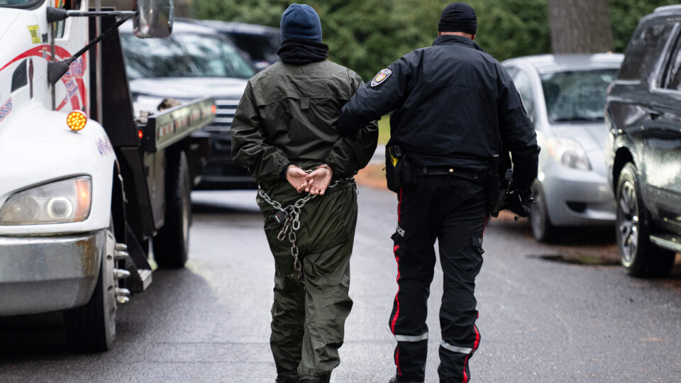 Mark Harding: How the government’s identity politics obsession and one ...