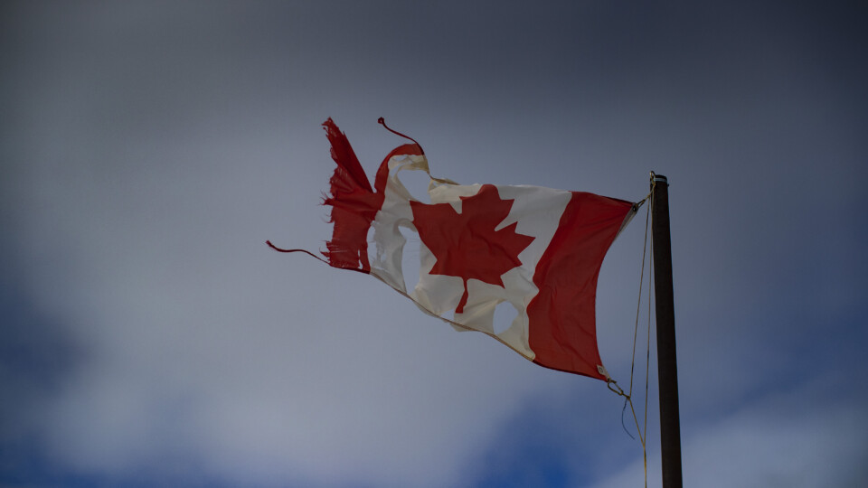 ‘We’re cited as a model for what not to do’: Tristin Hopper on what ...