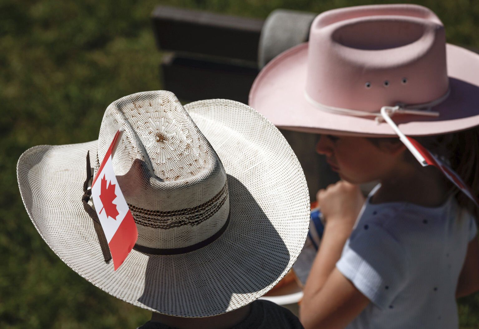 Falice Chin: What if Alberta was already independent? - The Hub