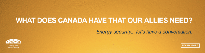 ‘Surrender to lawlessness’: How a Hamilton bylaw banning home security ...