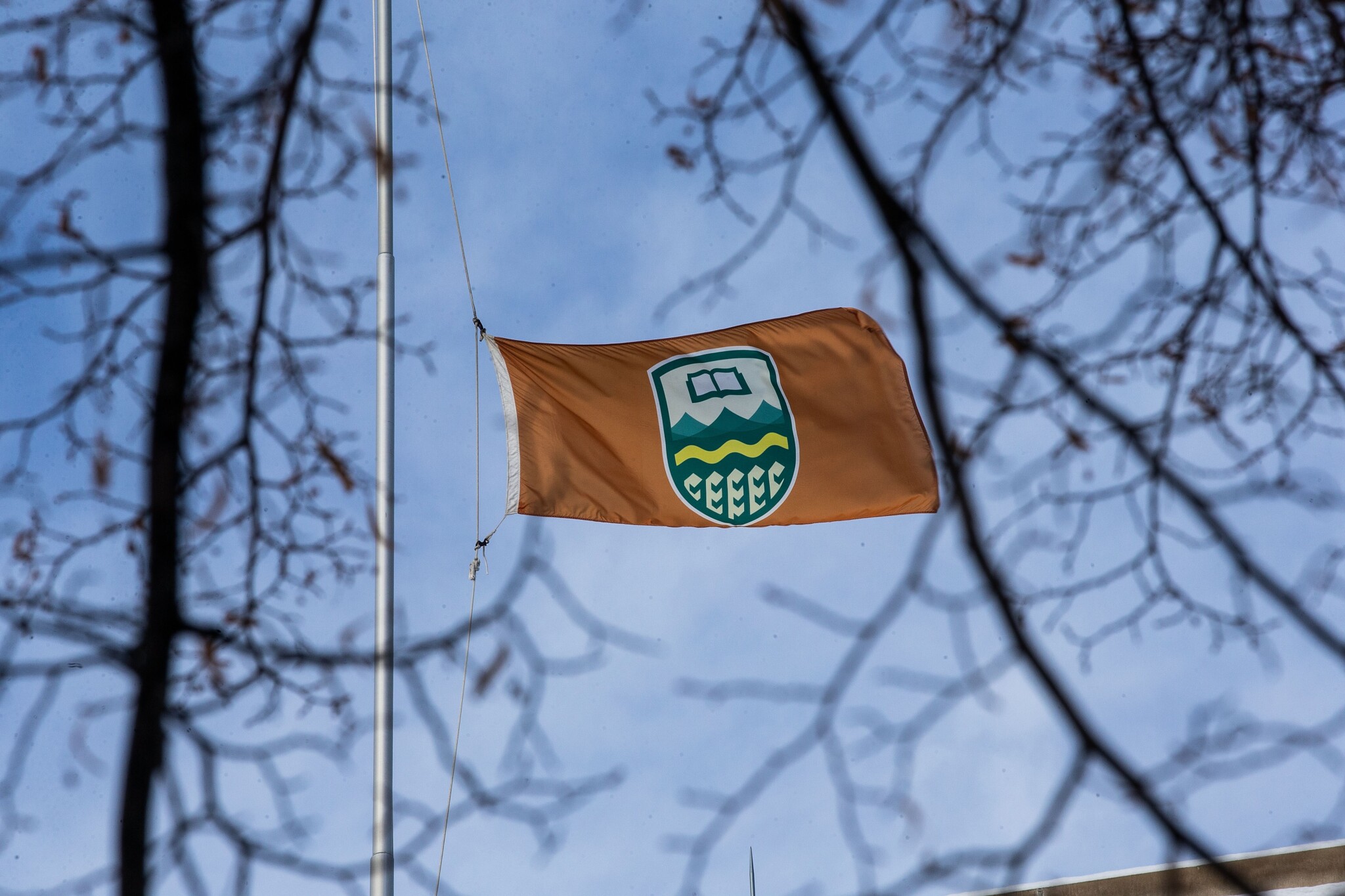 More than just oil: Alberta is Canada’s under-the-radar AI powerhouse ...