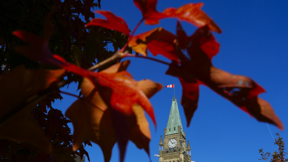 Tim Sargent: Letter to a minister: How to protect the environment and ...