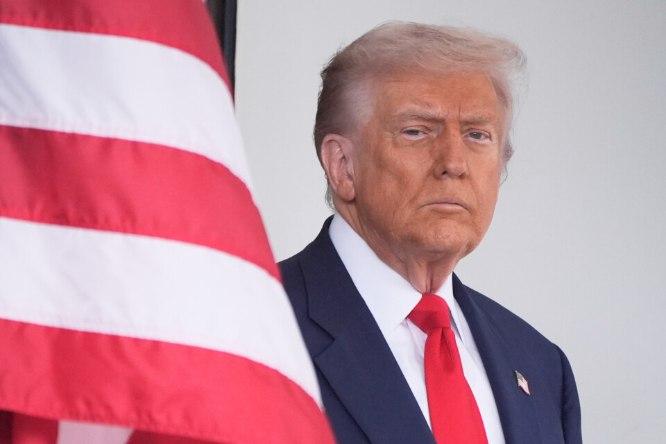 The Hub | More Signal. Less Noise.